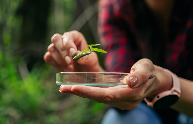 Plant and Animal Genomics | Methods to study agricultural species