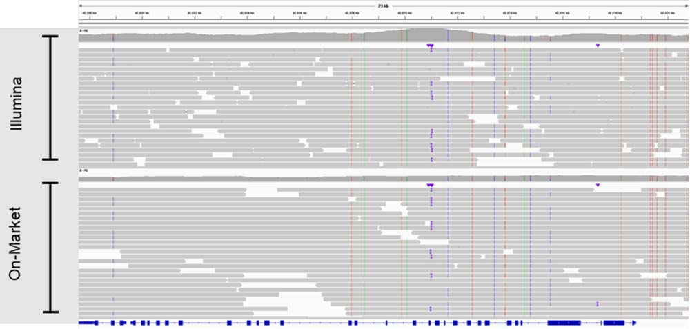 High Performance Long Read Assay Enables Contiguous Data up to 10Kb on ...
