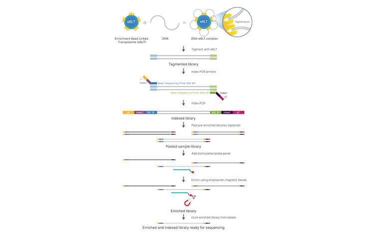 TruSight Hereditary Cancer Panel | Target 113 cancer-associated genes