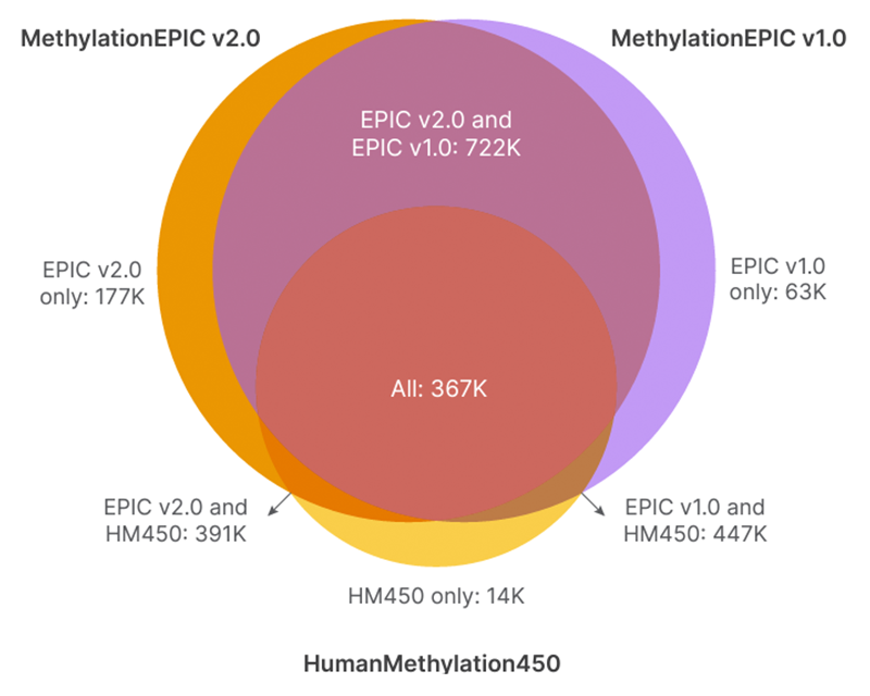 Infinium MethylationEPIC v2.0 Kit | Methylation profiling array