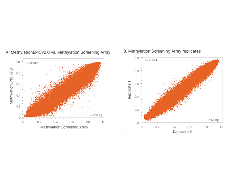 Infinium Methylation Screening Array-48|Scalable DNA methylation assay