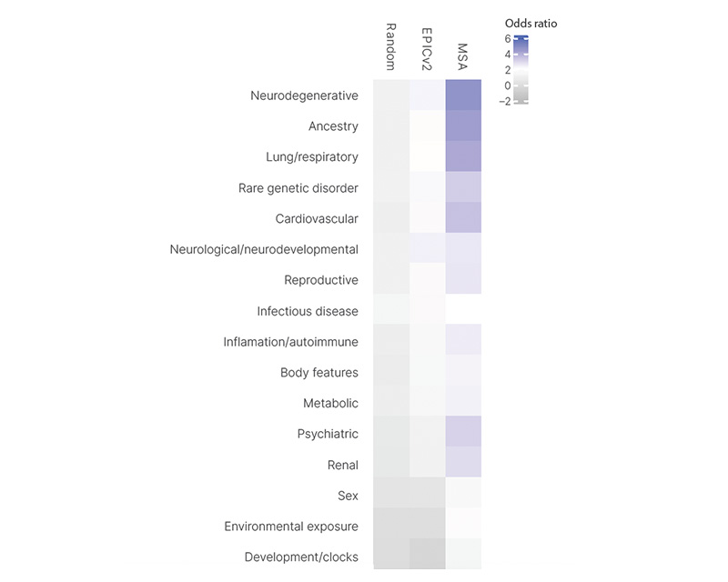 Infinium Methylation Screening Array-48|Scalable DNA methylation assay