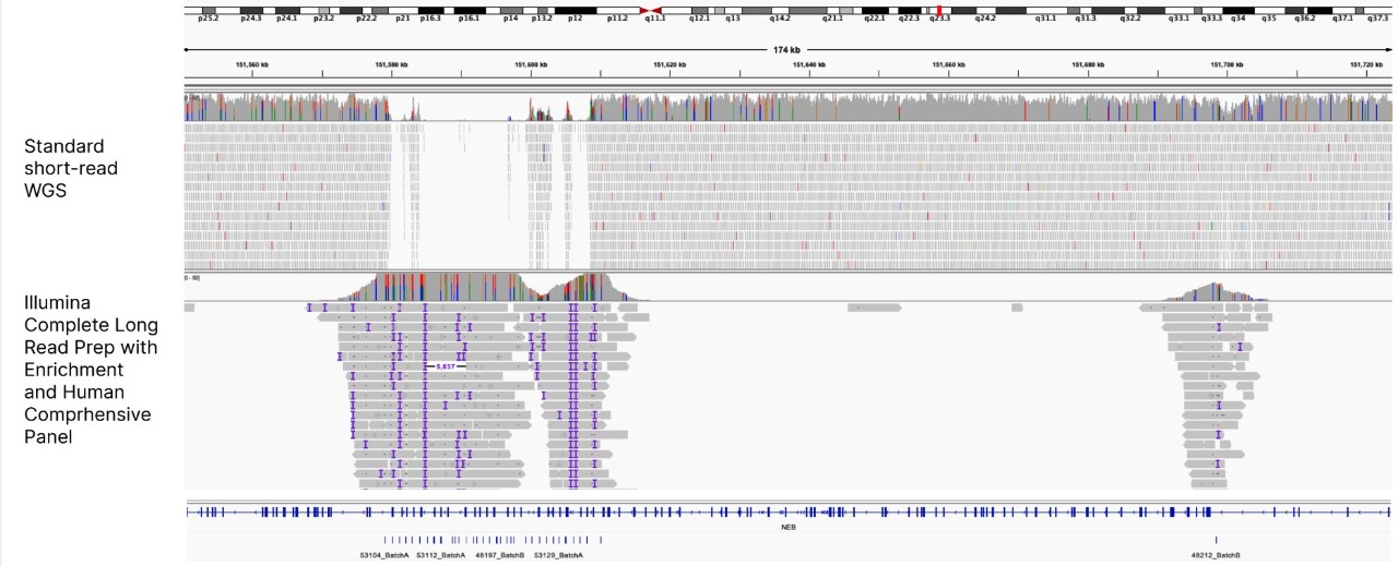 Illumina Human Comprehensive Panel | Enrichment panel for targeted long ...