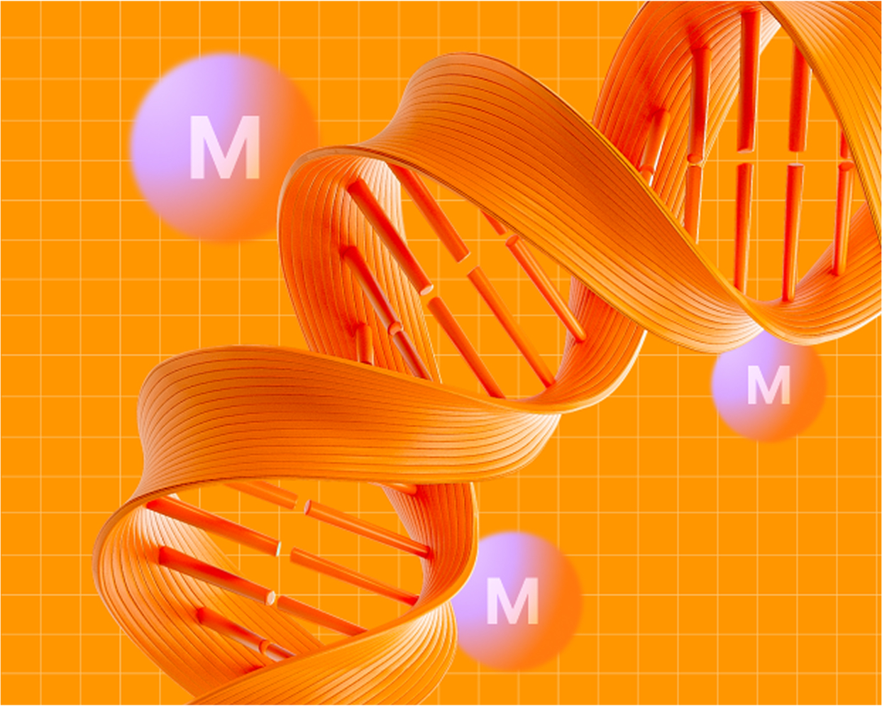 Illumina 5-Base DNA Prep | Detection for the 5-base genome
