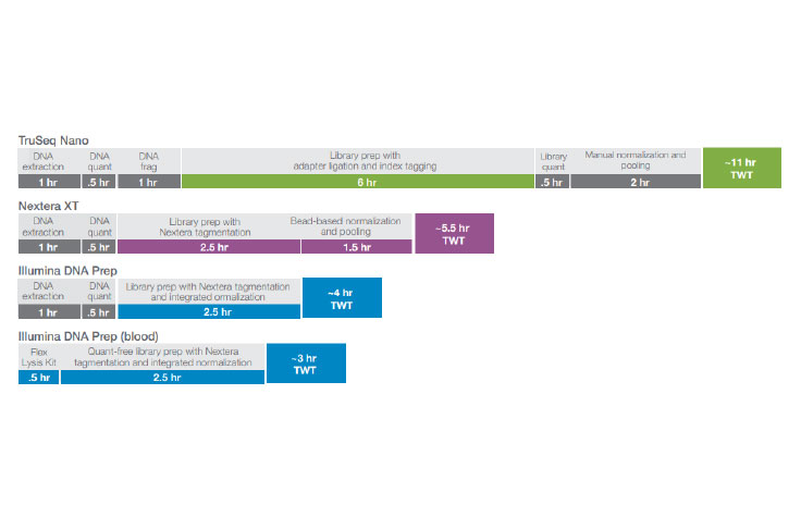 Illumina DNA Prep | Flexibility for many genome sequencing applications