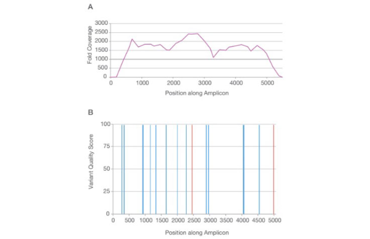 Nextera XT DNA Library Prep Kit | Sequence small genomes, plasmids, cDNA