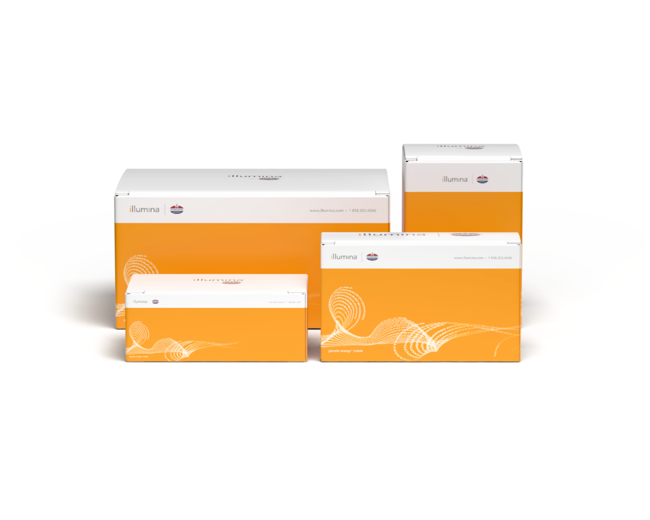 Illumina Protein Prep | Detect and quantify proteins with NGS