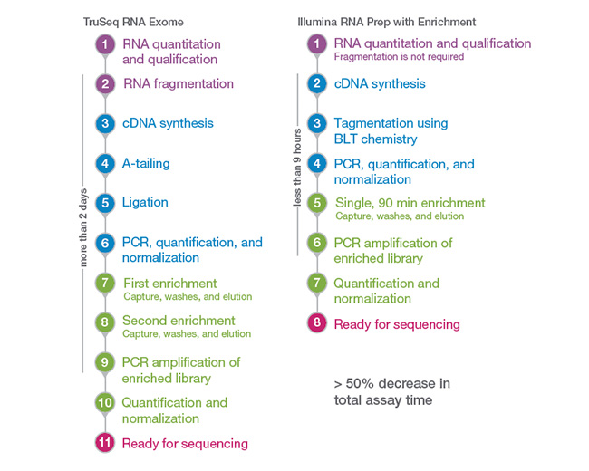 Illumina RNA Prep with Enrichment | Solution for targeting transcripts