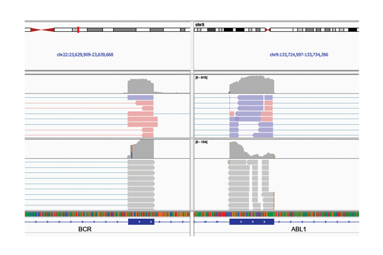 Illumina RNA Prep with Enrichment | Solution for targeting transcripts