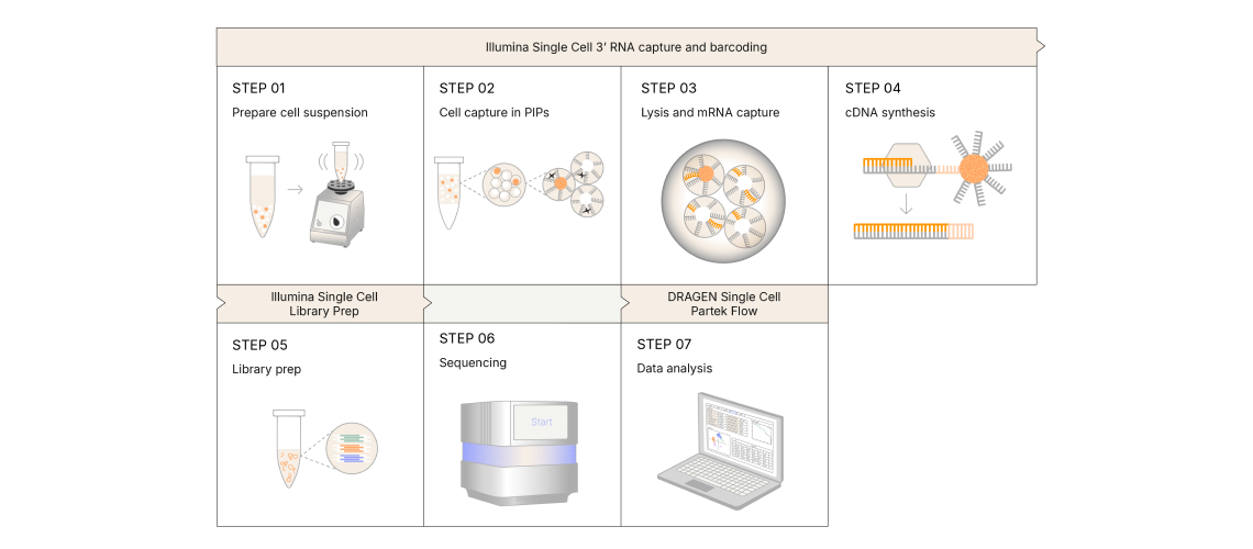 Illumina Single Cell 3' RNA Prep Kits | Scalable scRNA-Seqライブラリー調製