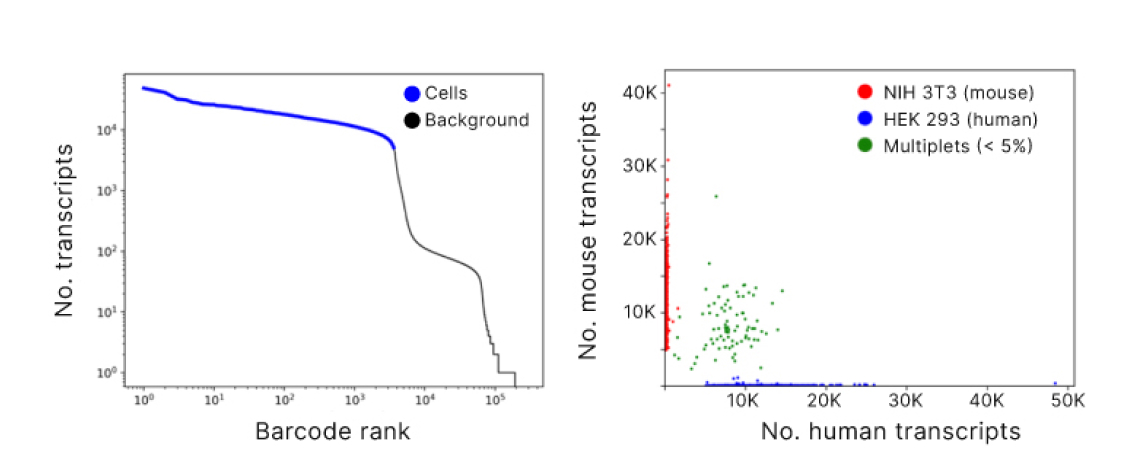 Illumina Single Cell 3' RNA Prep Kits | Scalable scRNA-Seq library prep