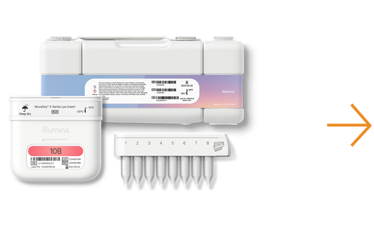Transition to High-Throughput with the NovaSeq X Series